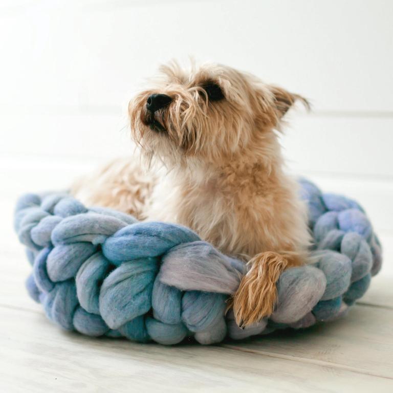 Arm Knit Pet Bed | Knitting Patterns | Let's Knit Magazine