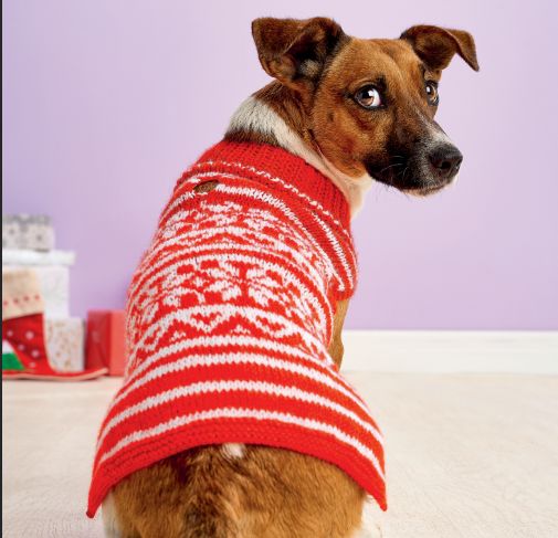 Pampered Pets Dog Coat Chart | Knitting Patterns | Let's Knit Magazine