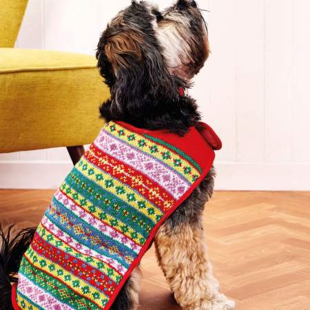 Fair Isle Dog Coat | Knitting Patterns | Let's Knit Magazine